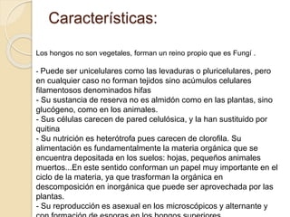 Biología Del Descomponedor