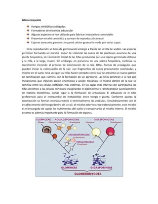 Hongos en el suelotrabajo | PDF