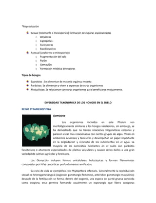 Hongos en el suelotrabajo | PDF