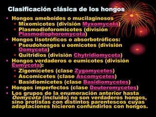 Hongos fitopatógenos | PPTX