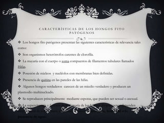 Hongos fitopátogenos | PPTX