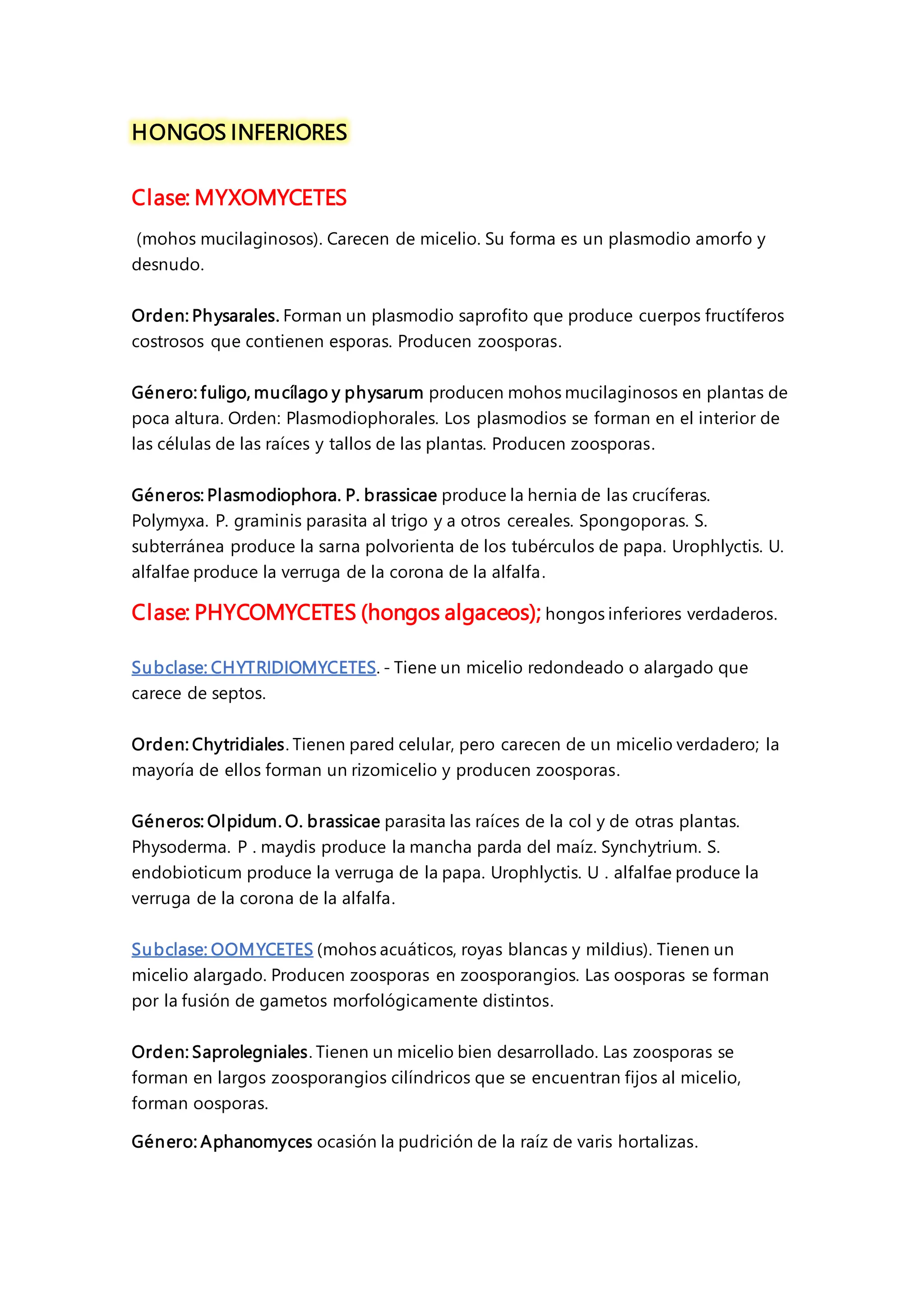 Morfología y clasificación de los hongos | PDF