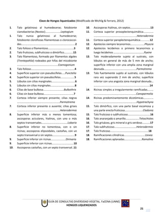 Hongos liquenizados | PDF