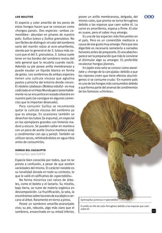 Hongos tóxicos y comestibles en Uruguay, guía visual | PDF