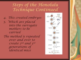 Honolulu cloning technique | PPT