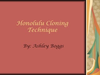 Honolulu cloning technique | PPT