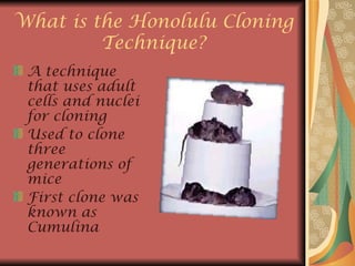 Honolulu cloning technique | PPT