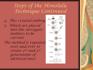 Honolulu cloning technique | PPT