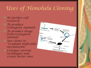 Honolulu cloning technique | PPT