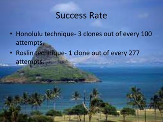 Honolulu technique | PPTX