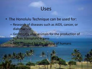 Honolulu technique | PPTX
