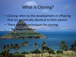 Honolulu technique | PPTX