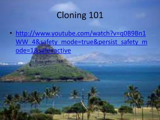 Honolulu technique | PPTX