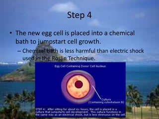 Honolulu technique | PPTX