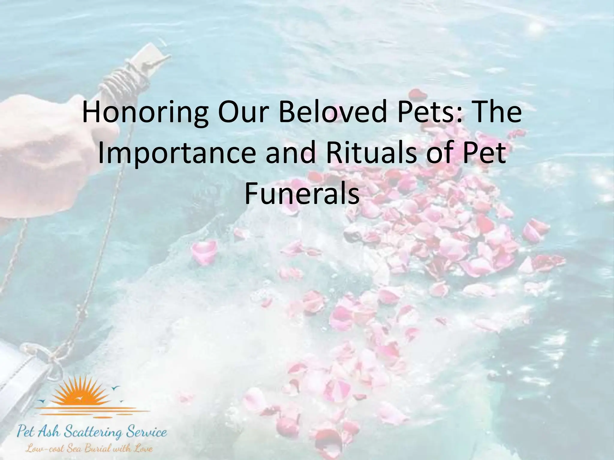 Honoring Our Beloved Pets: The Importance and Rituals of Pet Funerals | PPT