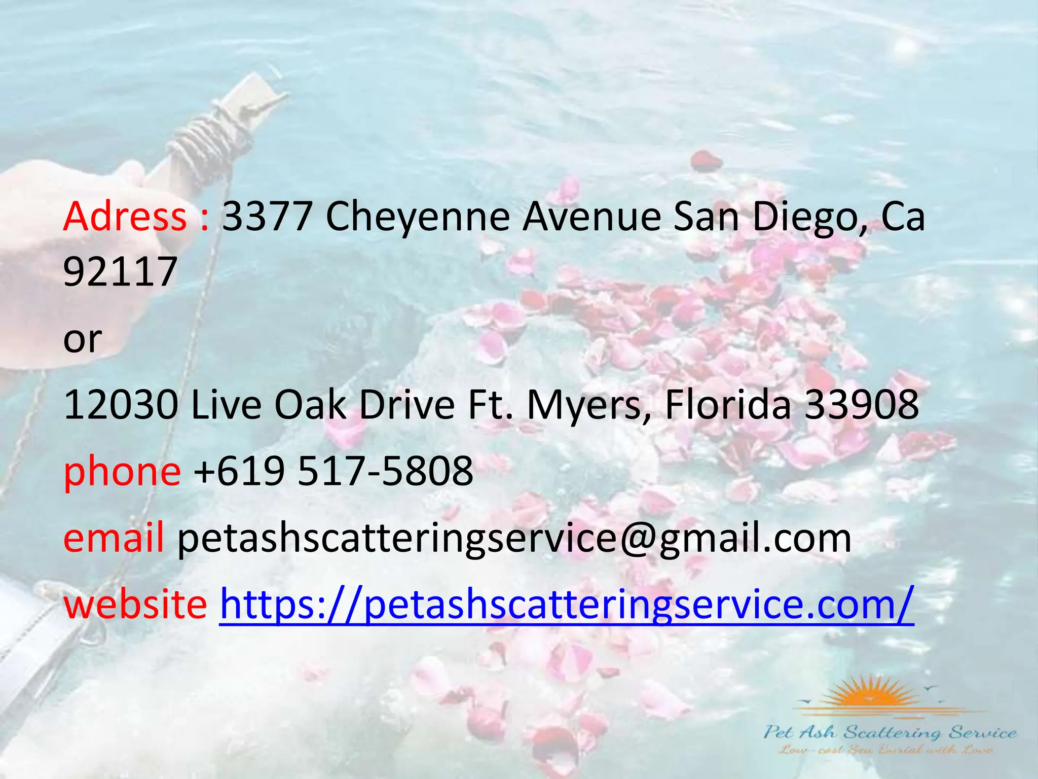 Honoring Our Beloved Pets: The Importance and Rituals of Pet Funerals ...