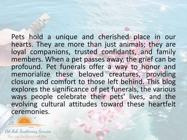 Honoring Our Beloved Pets: The Importance and Rituals of Pet Funerals ...