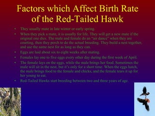 Tara Matson's Honors bioii ecologyproject | PPT | Hunting and Shooting ...