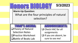 Honors Bio Unit 4 Warm Ups (1).pptx | Biological Sciences | Science