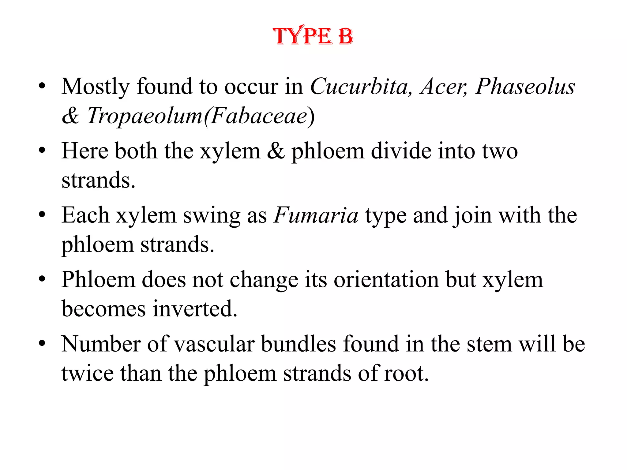 Hons sem 3 root stem transition | PPT