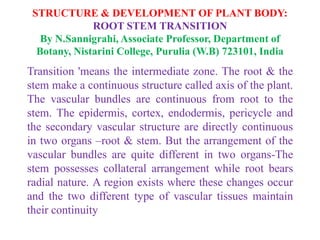 Hons sem 3 root stem transition | PPT