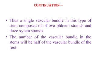 Hons sem 3 root stem transition | PPT