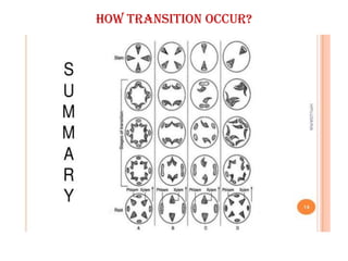 Hons sem 3 root stem transition | PPT