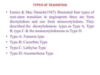 Hons sem 3 root stem transition | PPT