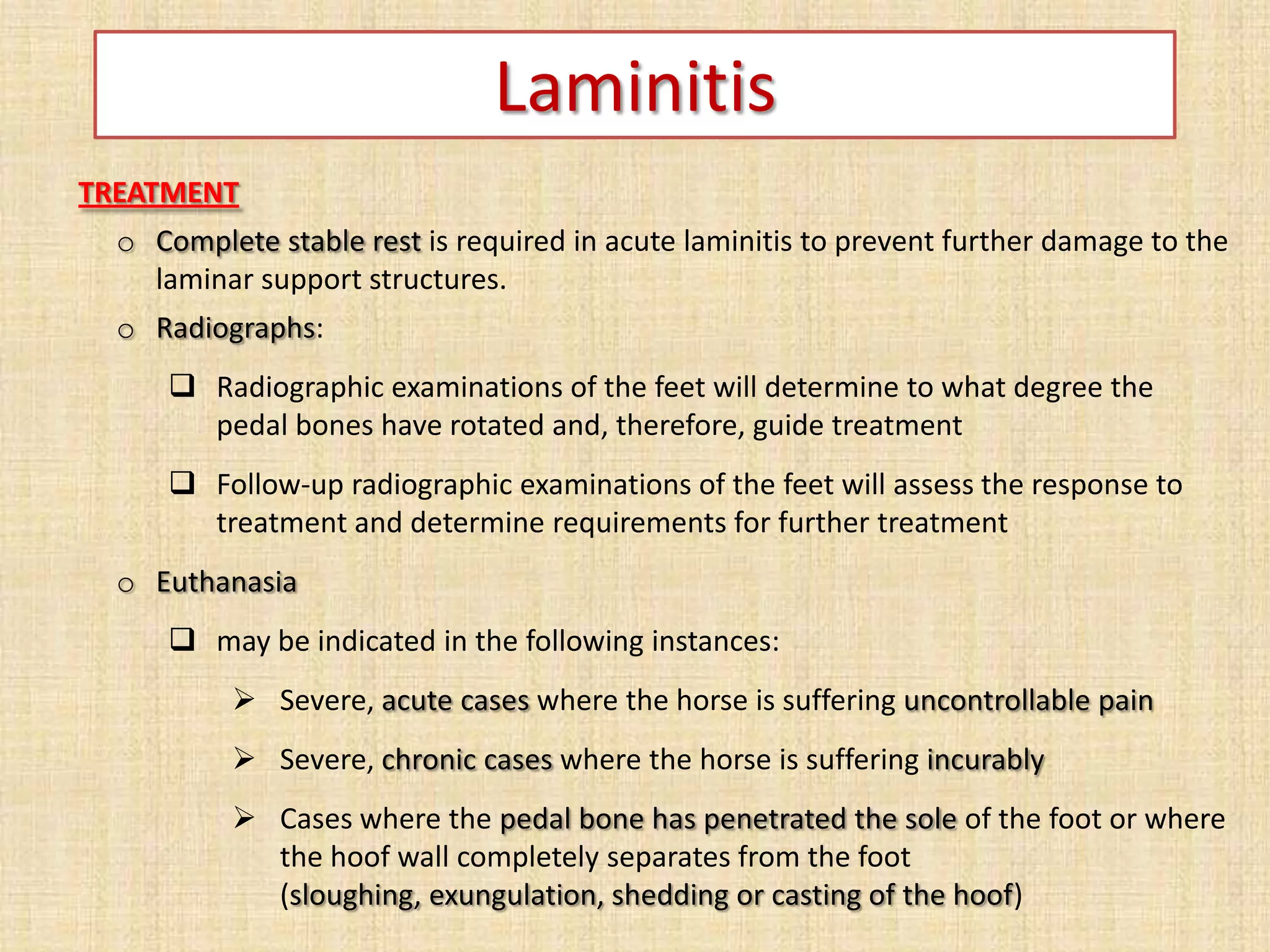 lameness (equine hoof affections) Dr. Alaa Ghazy | PPTX