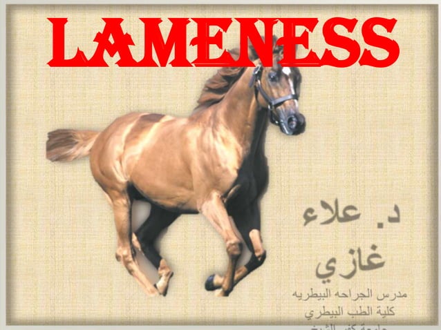 lameness (equine hoof affections) Dr. Alaa Ghazy | PPTX