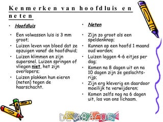 Hoofdluis | PPT | Infectious Diseases | Diseases and Conditions