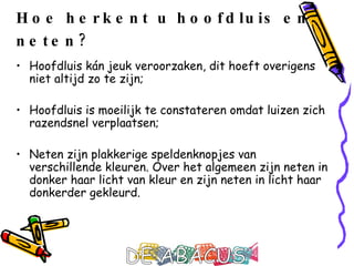 Hoofdluis | PPT | Infectious Diseases | Diseases and Conditions