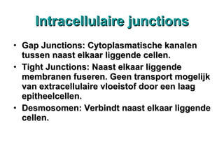 Hoofdstuk 6 cytoskelet | PPT