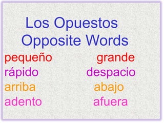 Hooked on spanish opposites | PPTX