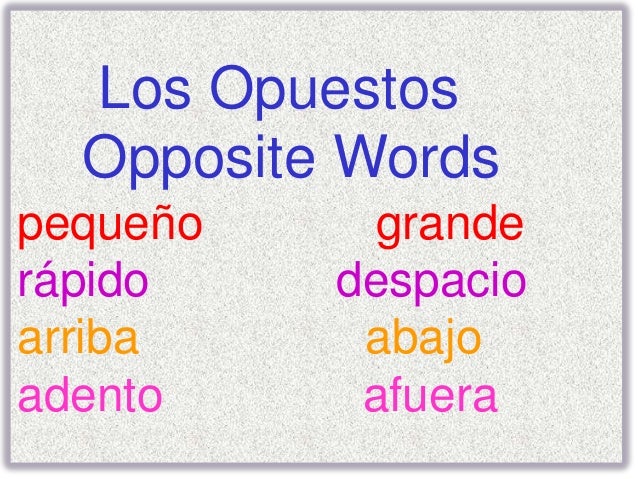 Hooked on spanish opposites