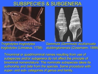 Hooker taxonomy&nomenclature seminarsection1 | PPT | Genetics | Science