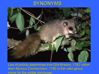 Hooker taxonomy&nomenclature seminarsection1 | PPT