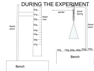 Hookes law. tpack at kibasila sec school | PPT