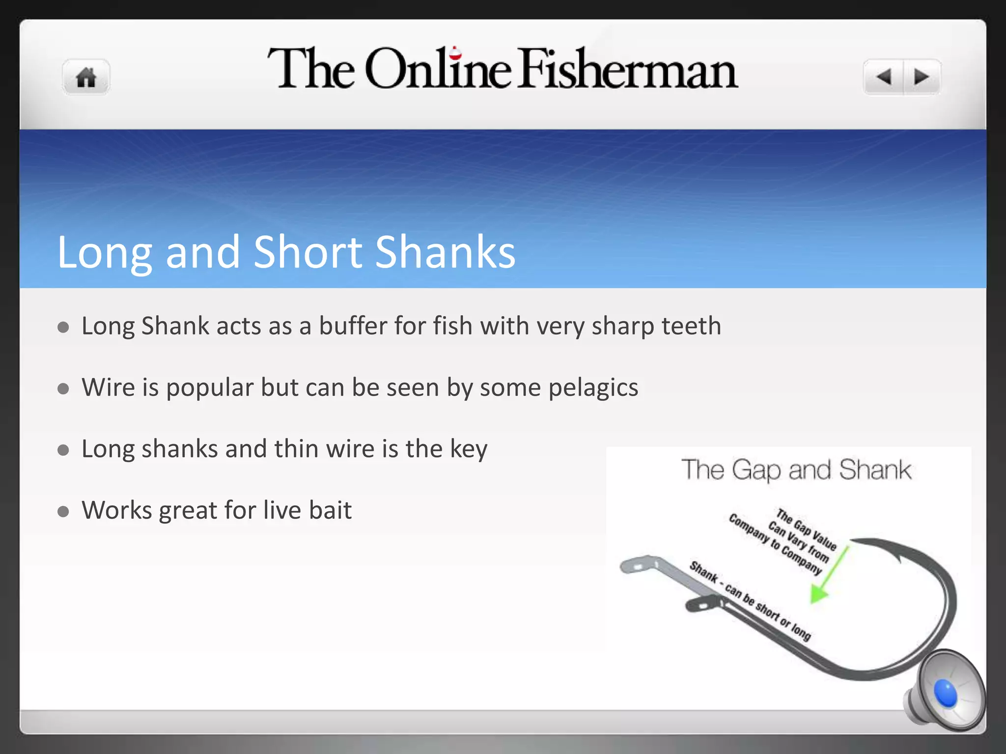 Selecting the Correct FIshing Hook | PPTX