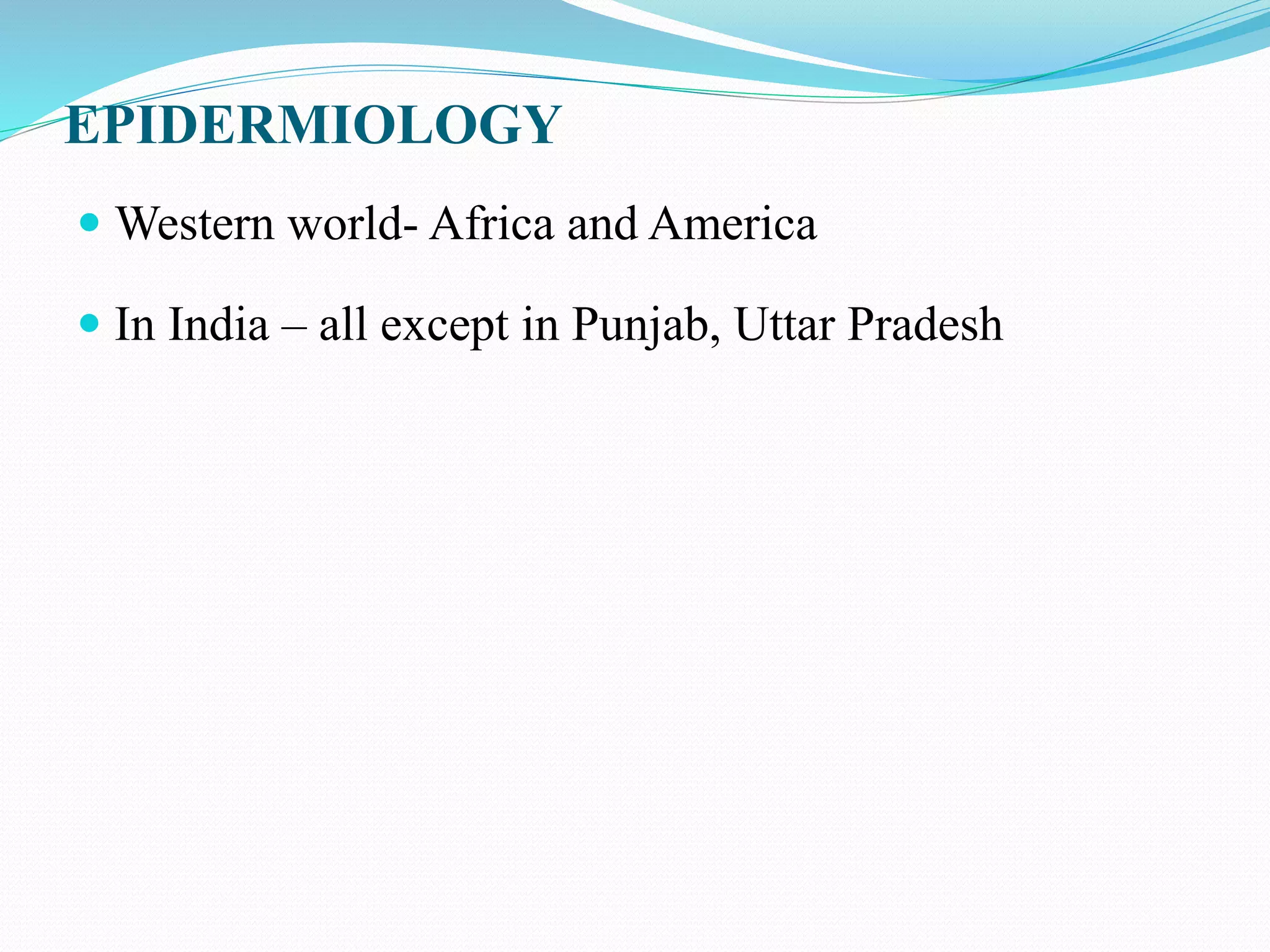 Hookworm Pptx