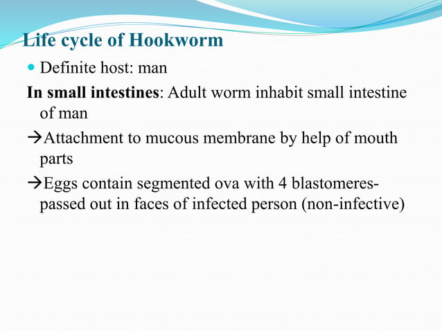 Hookworm | PPTX | Infectious Diseases | Diseases and Conditions