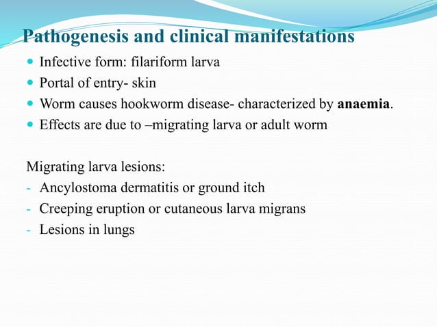 Hookworm | PPTX | Infectious Diseases | Diseases and Conditions
