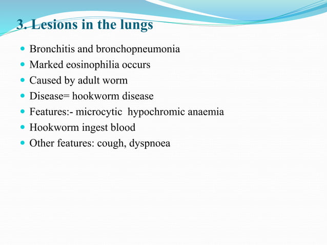 Hookworm | PPTX | Infectious Diseases | Diseases and Conditions