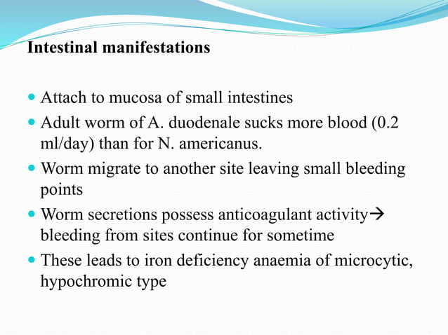 Hookworm | PPTX | Infectious Diseases | Diseases and Conditions