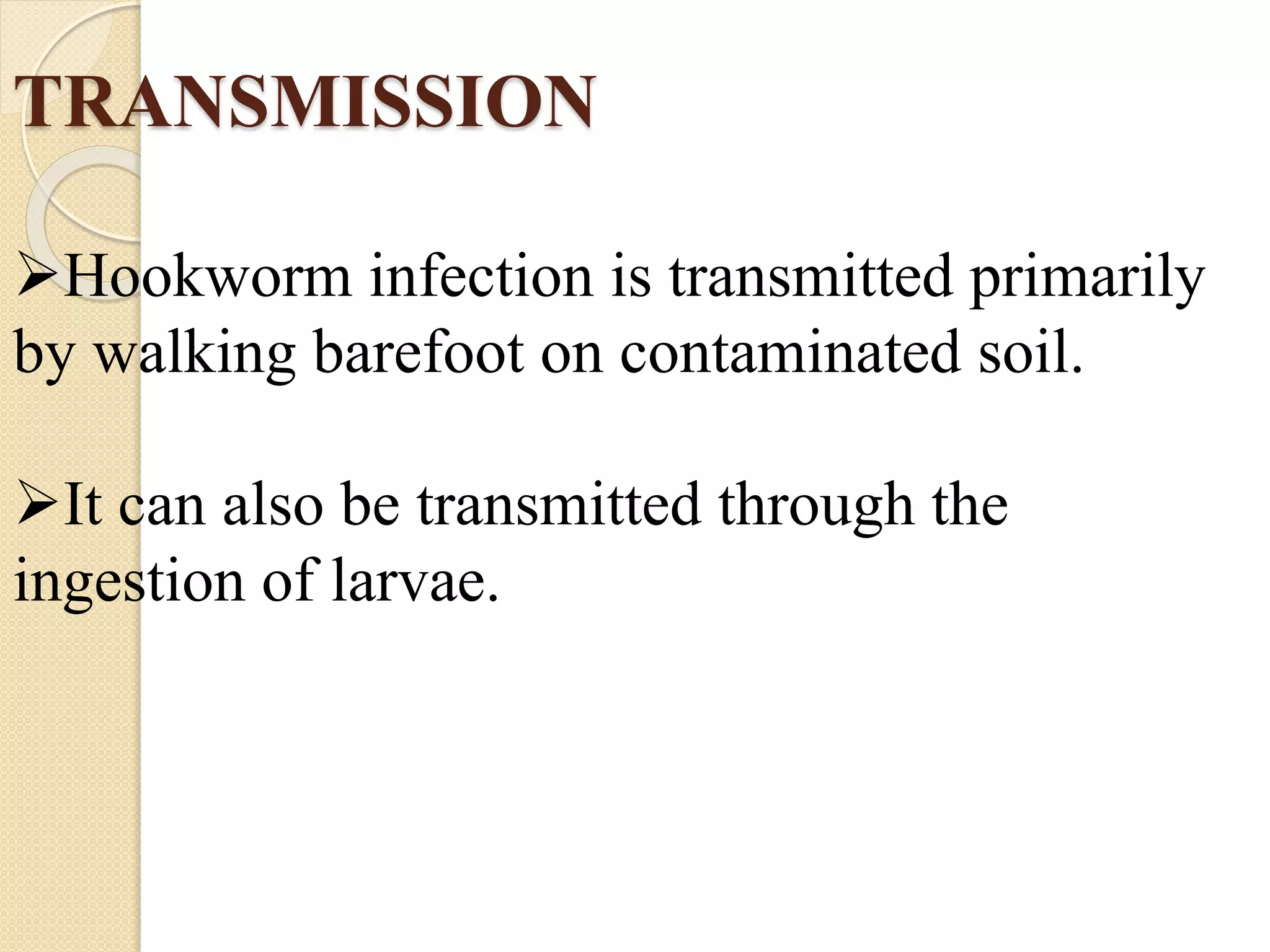 Hook worm | PPTX