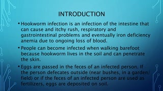 Hookworm introduction defination cause effect cure | PPTX | Infectious ...