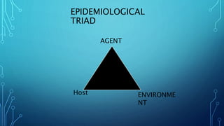 Hookworm introduction defination cause effect cure | PPTX | Infectious Diseases | Diseases and ...