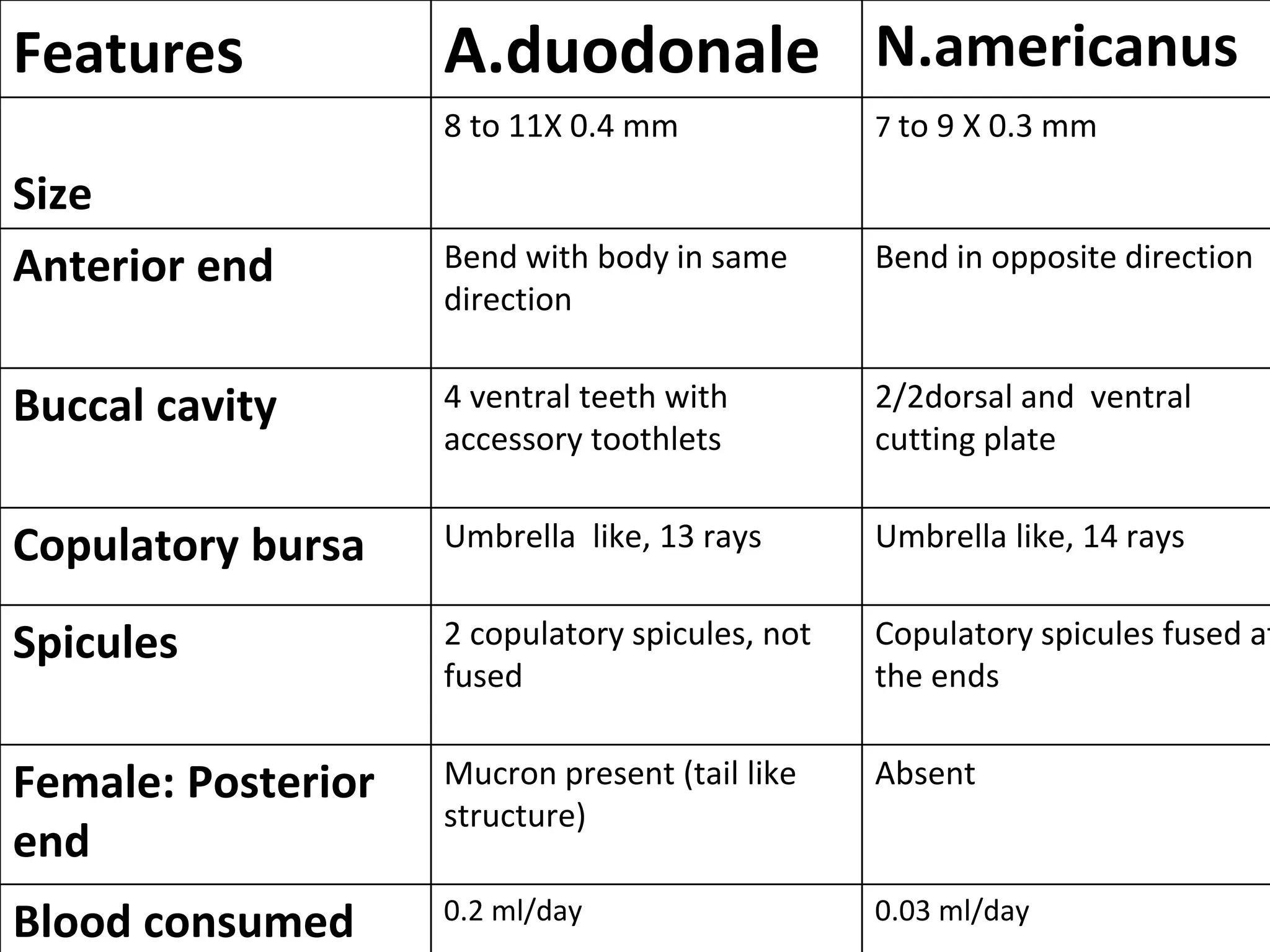 Hookworm as a part of worm infestation and common helminths | PPTX