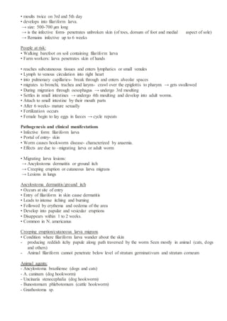 Hookworm infestation | DOCX