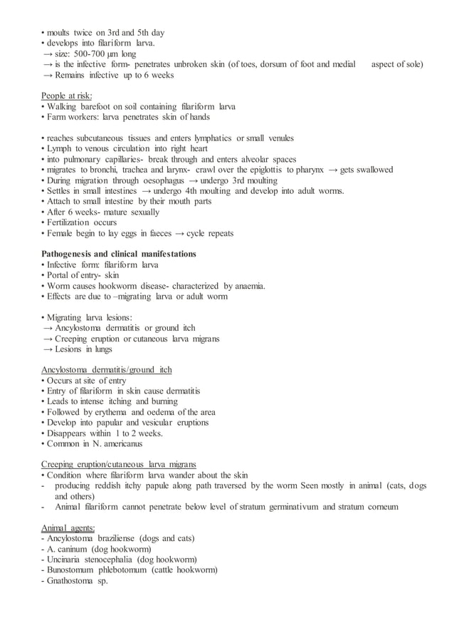 Hookworm Infestation Docx